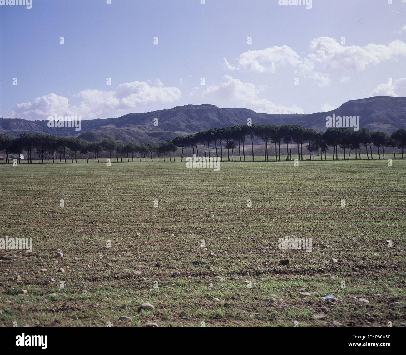 Diferentes alturas hi-res stock photography and images - Alamy