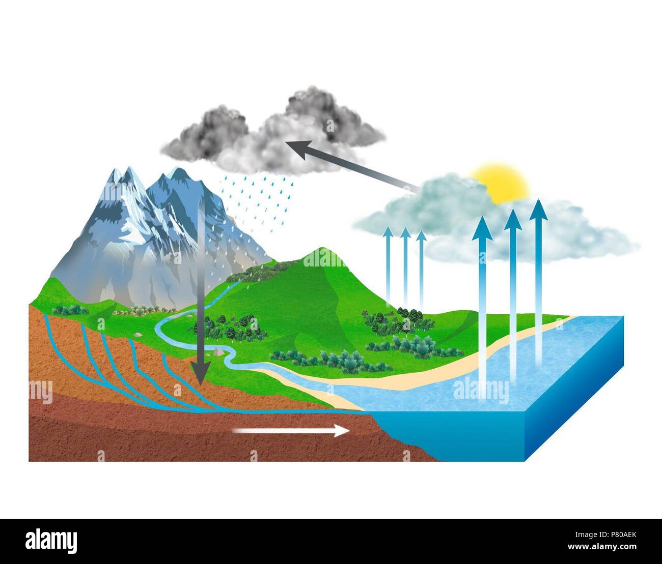Precipitation cycle Cut Out Stock Images & Pictures - Alamy