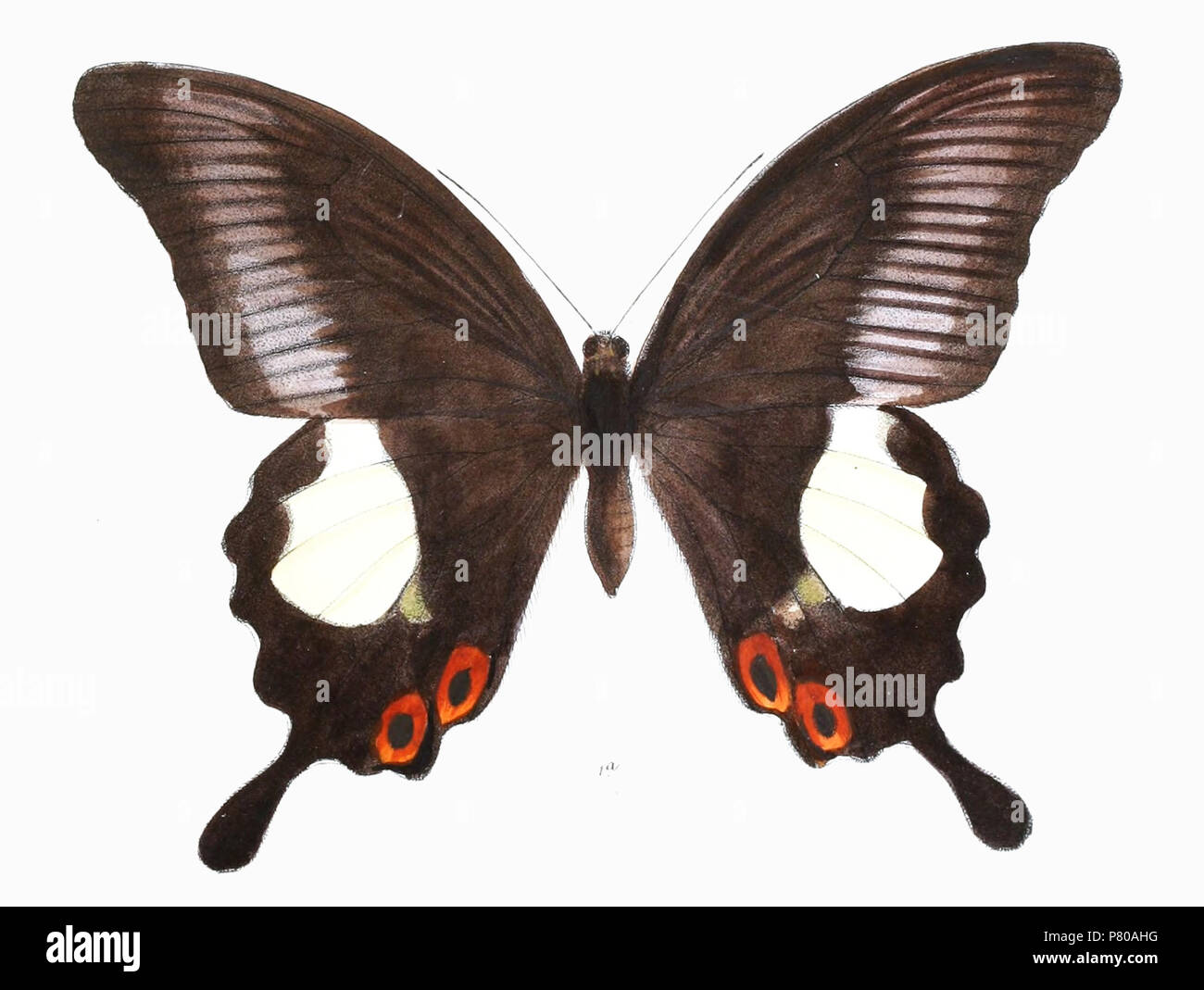 Iswara hi-res stock photography and images - Alamy