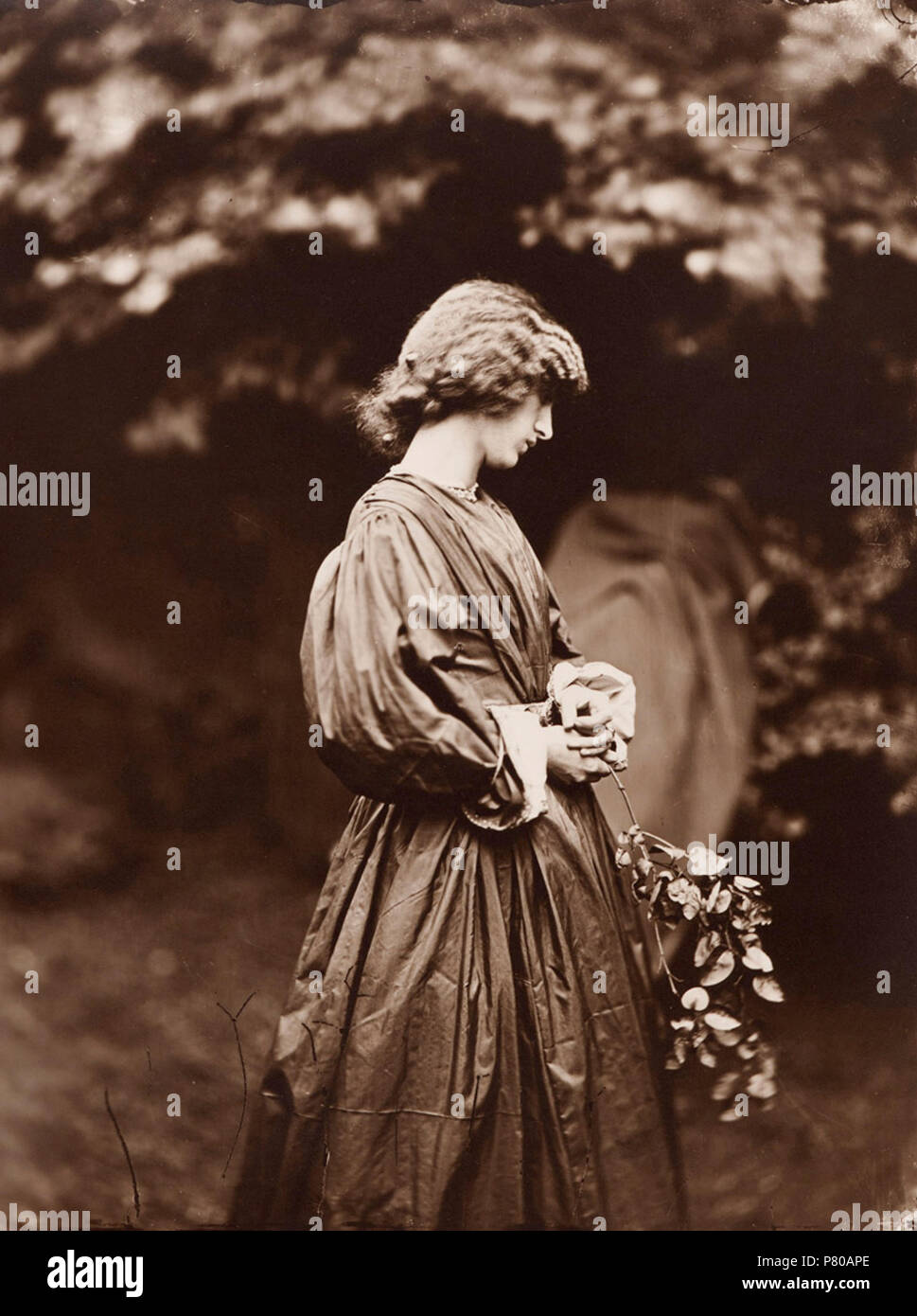 English: Jane Morris . Summer 1865 301 Parsons jane-morris2 Stock Photo ...