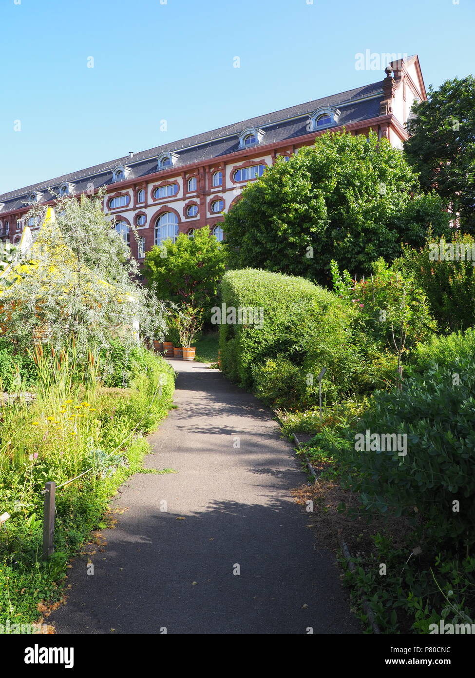 Botanical garden and university building at european Basel city in ...