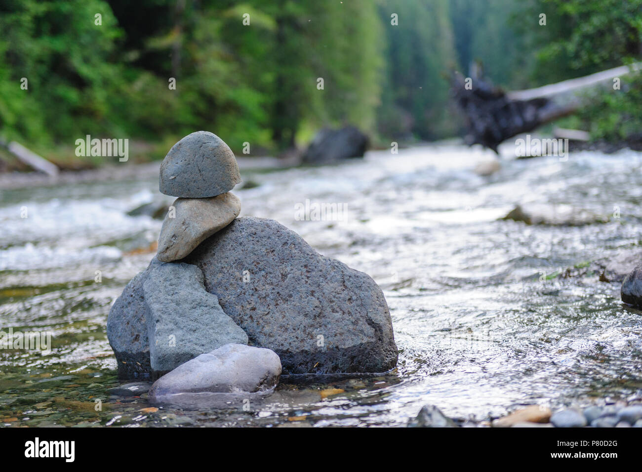 The Cowlitz River Stock Photo - Alamy