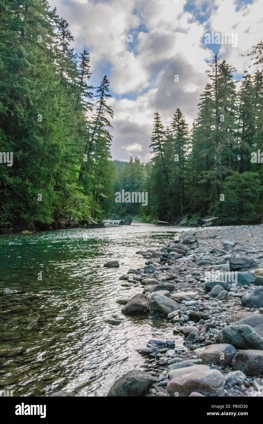 Cowlitz river hi-res stock photography and images - Alamy