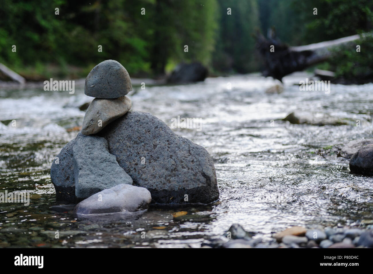Cowlitz river hi-res stock photography and images - Alamy