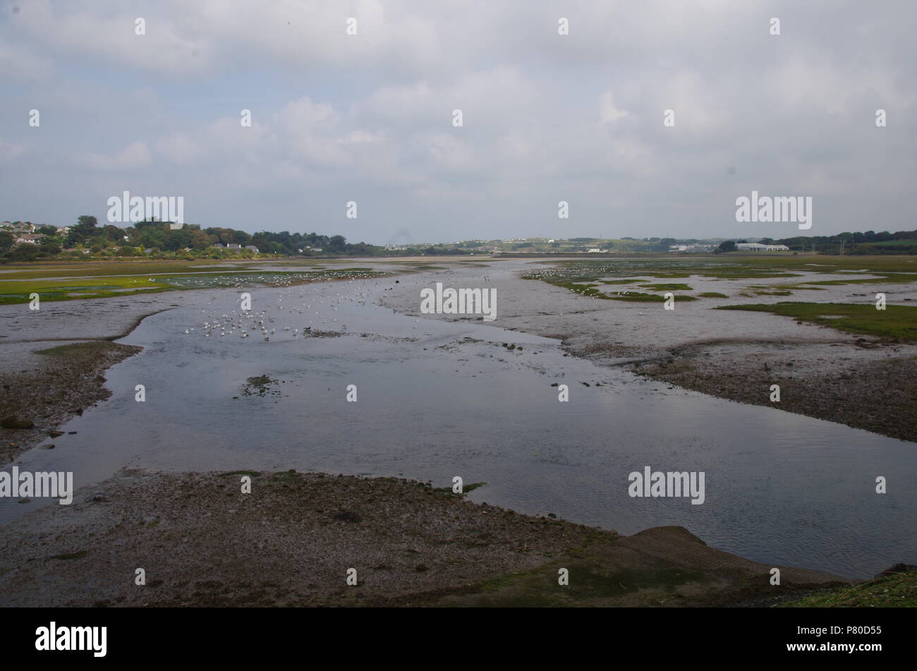 River Hayle High Resolution Stock Photography and Images - Alamy