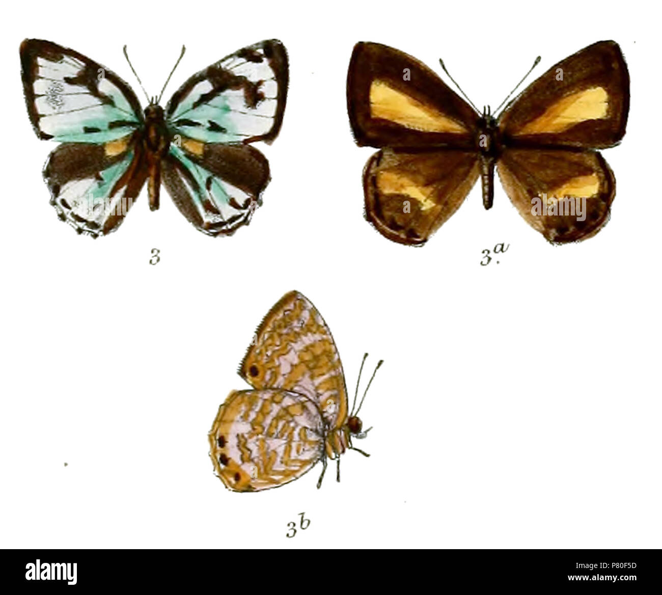 317 Cut Out Stock Images & Pictures - Alamy