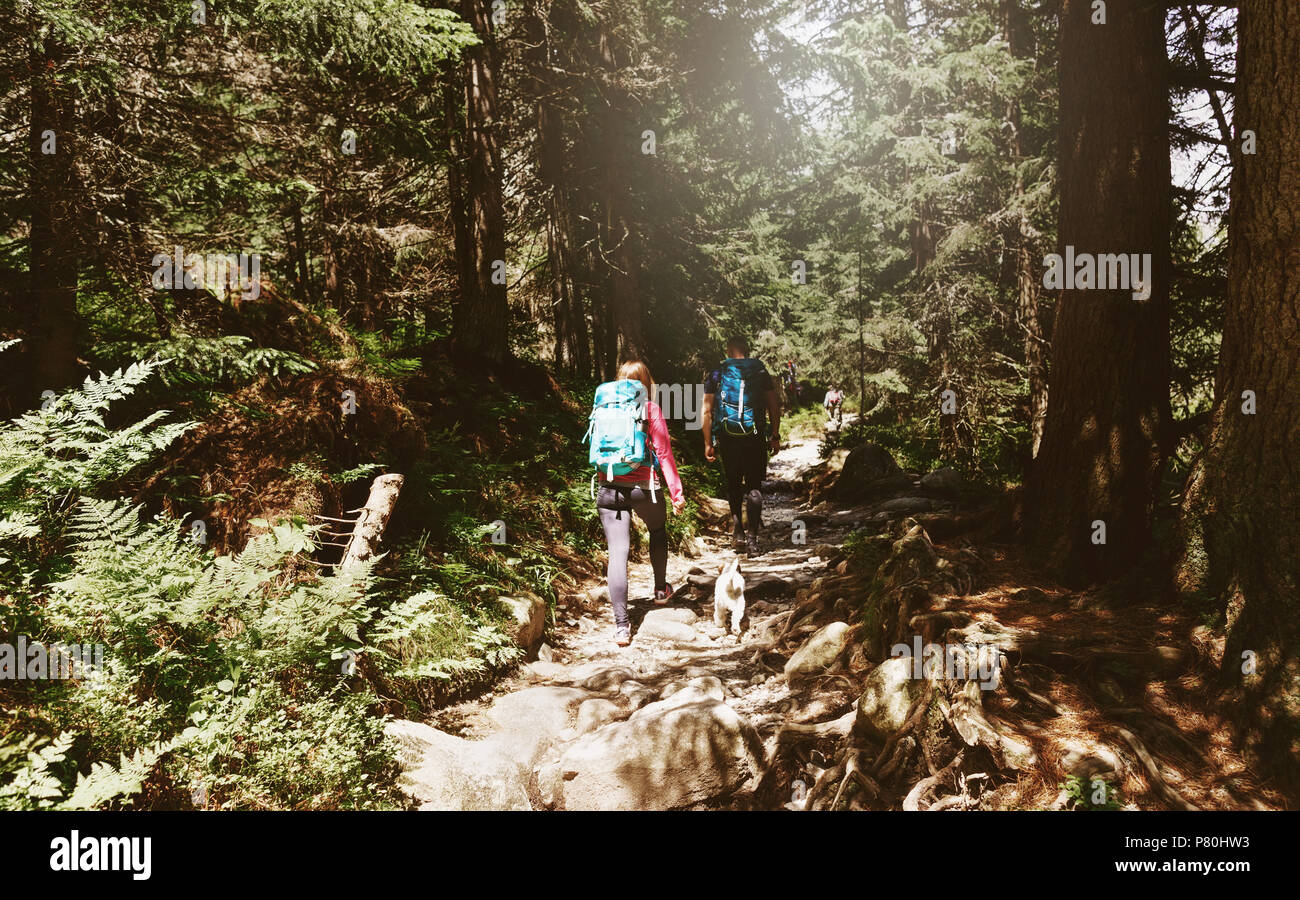 Couple travelers with backpack and little dog walking dense forest ...