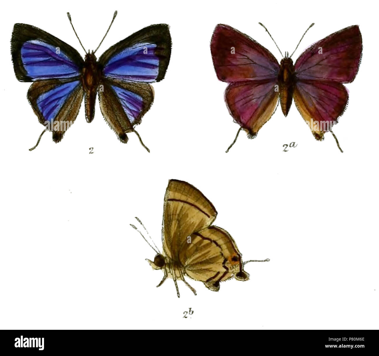 Tackle shop fishing sport Cut Out Stock Images & Pictures - Alamy