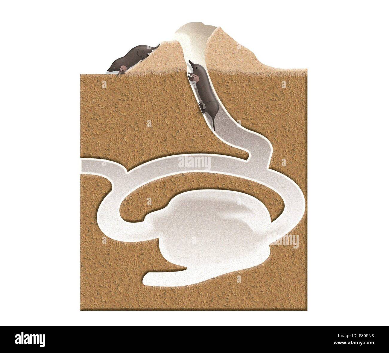 Molehill. Mole burrow Stock Photo - Alamy