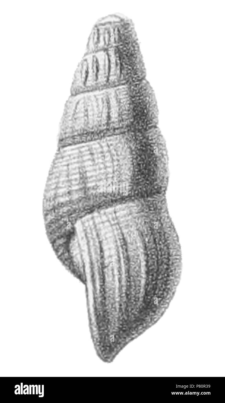 3 east Cut Out Stock Images & Pictures - Alamy