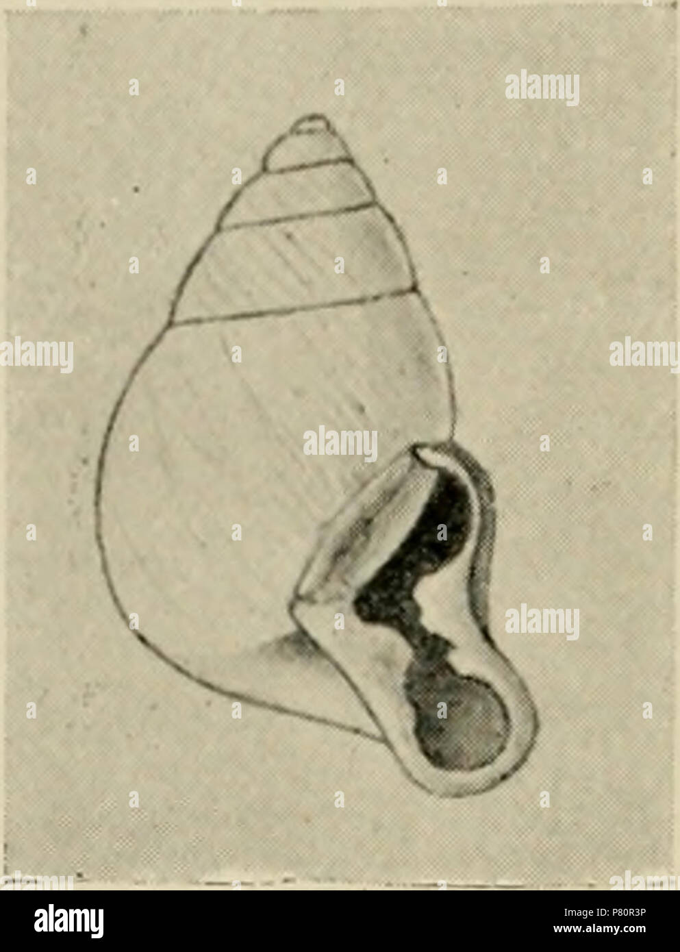 Nl 56 hi-res stock photography and images - Alamy