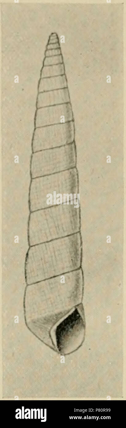 From the natural history of sokotra and abd el kuri hi-res stock ...