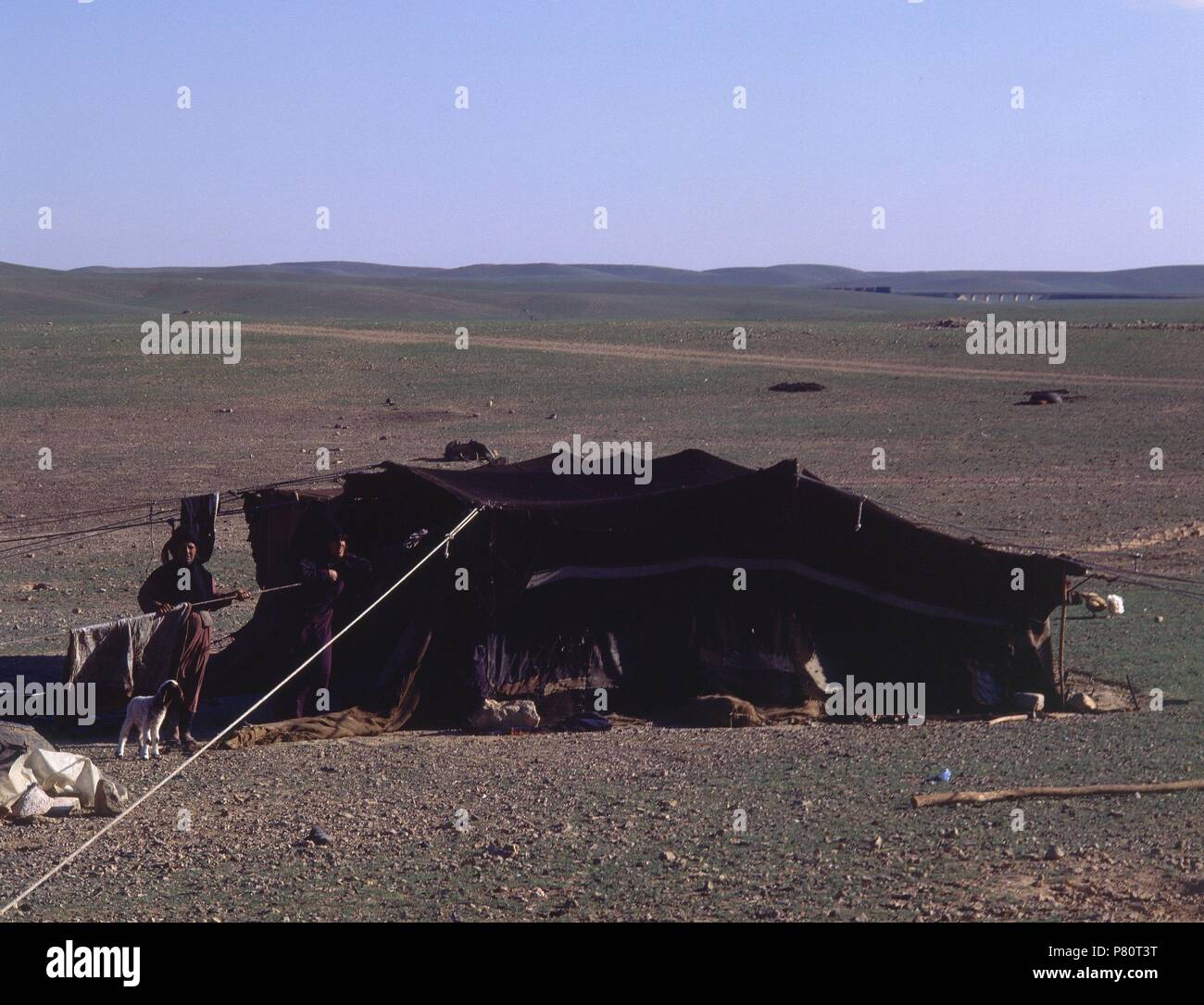 Jaima tent hi-res stock photography and images - Alamy