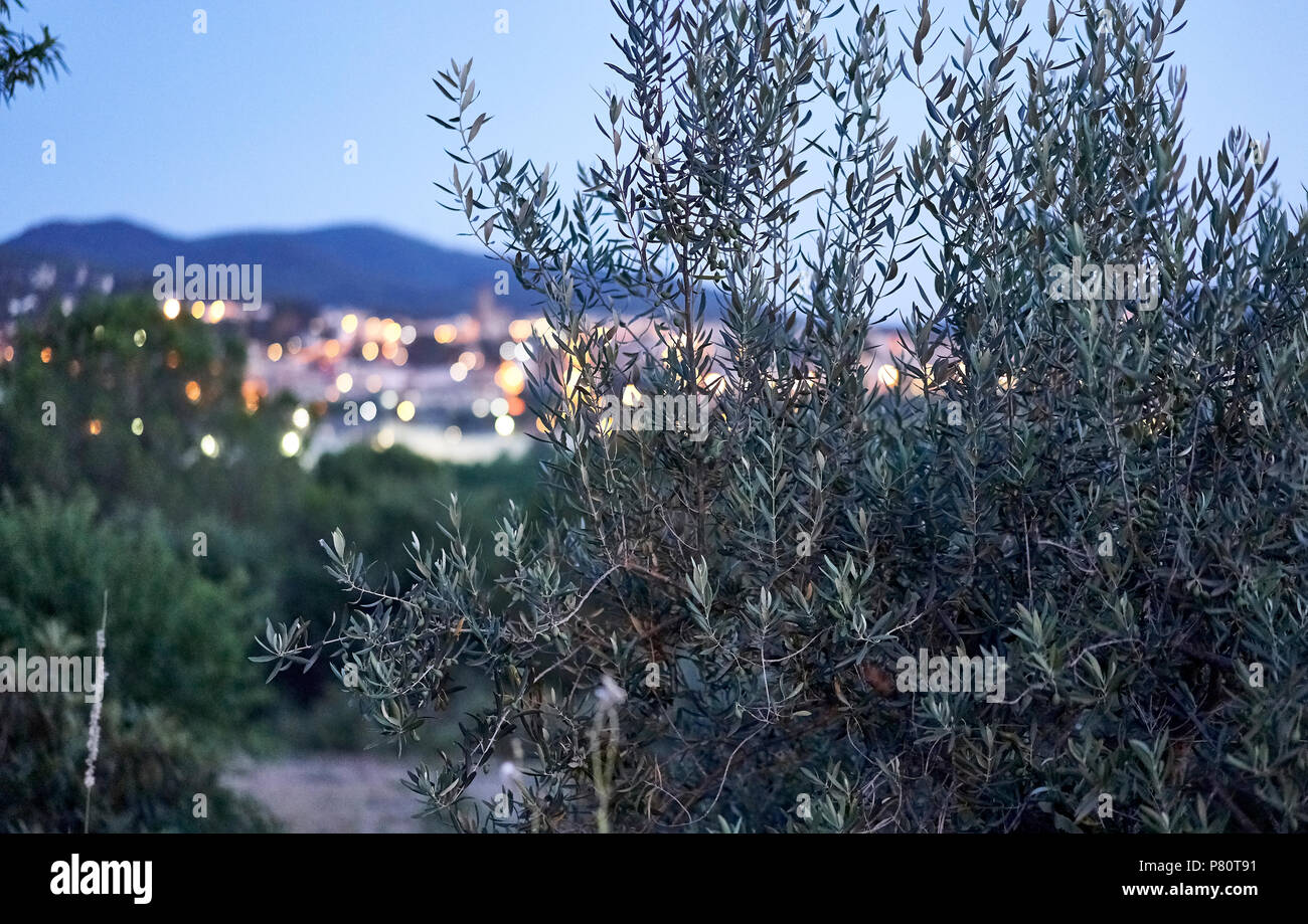 City night scene from the field Stock Photo - Alamy