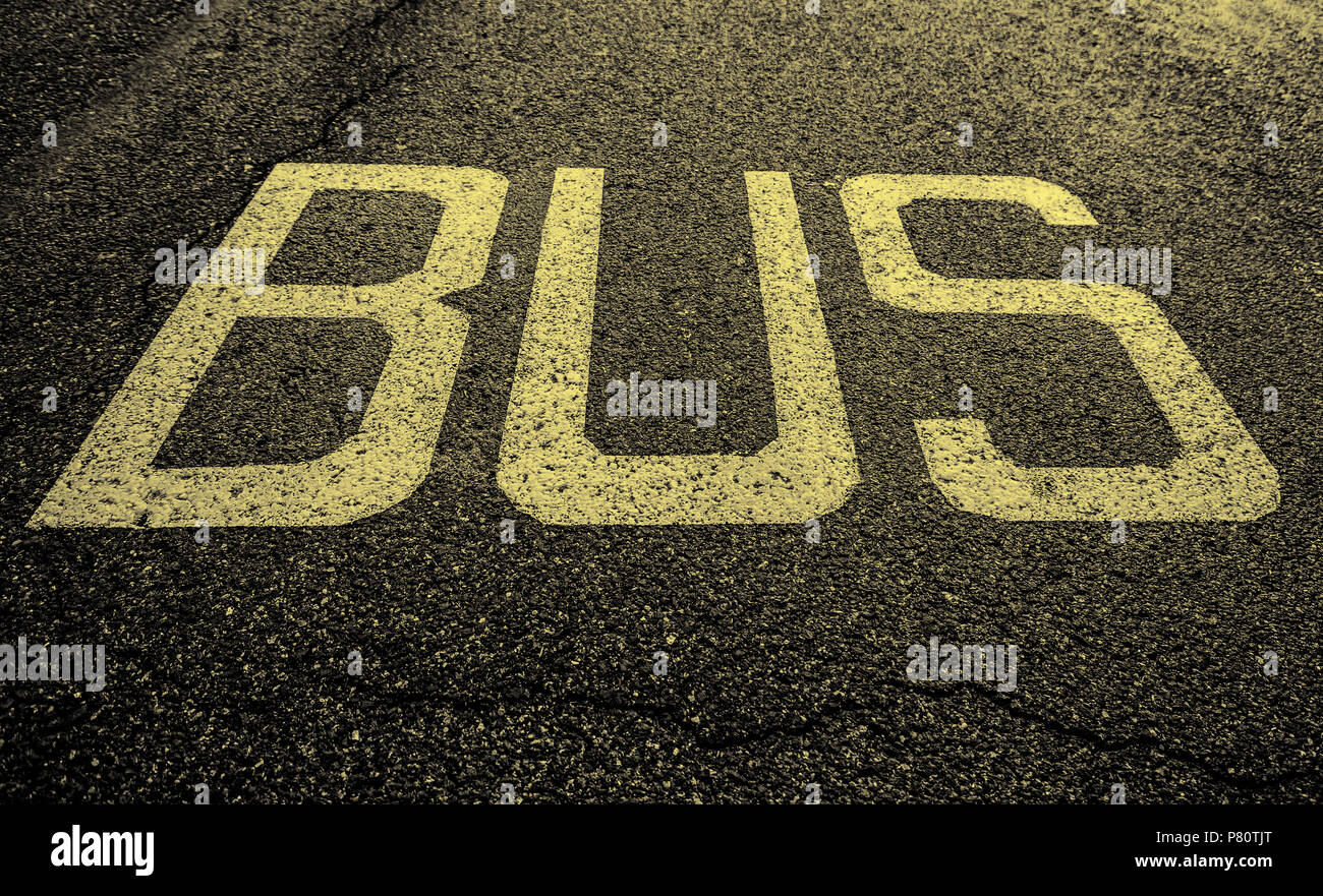 Bus signal on the asphalt, traffic signal detail of public transport ...