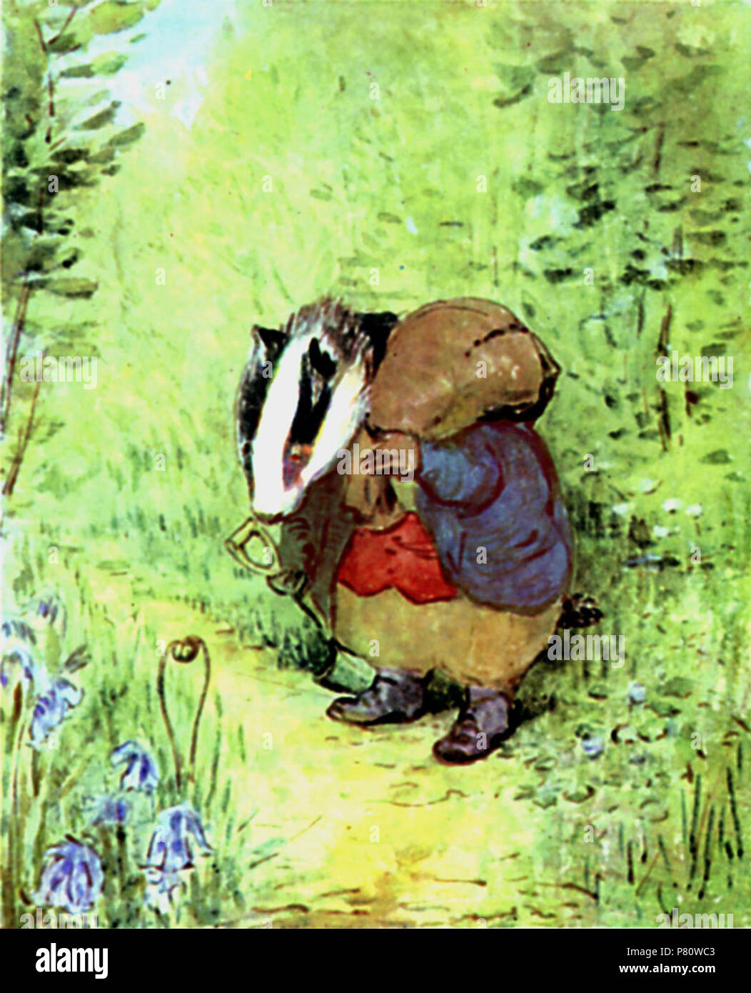 English: Illustration of Tommy Brock from The Tale of Mr. Tod . 1912 ...