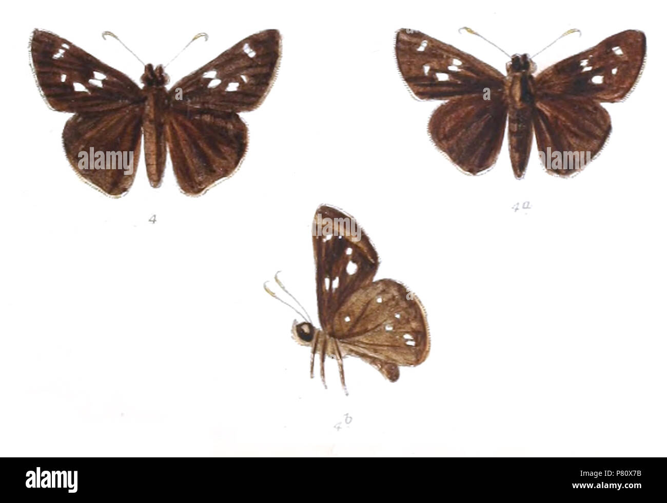 372 Cut Out Stock Images & Pictures - Alamy