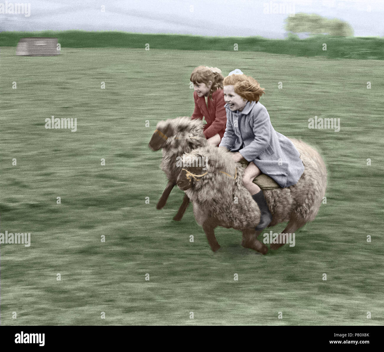 Two children ride on sheep, England, Great Britain Stock Photo - Alamy