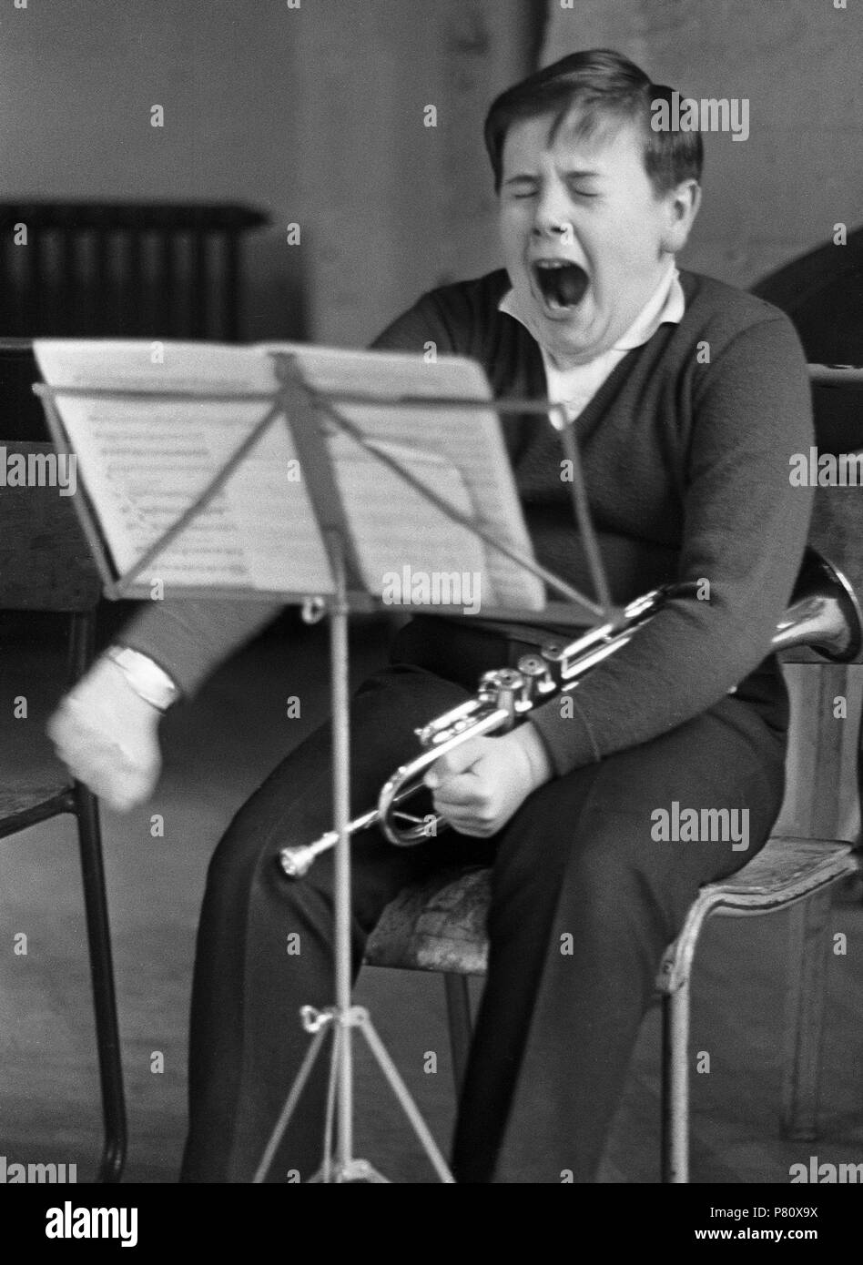 Funny trumpet hi-res stock photography and images - Alamy