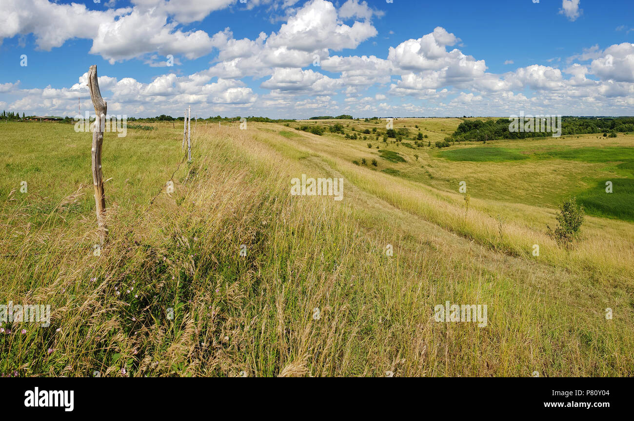 Prairie hedge hi-res stock photography and images - Alamy