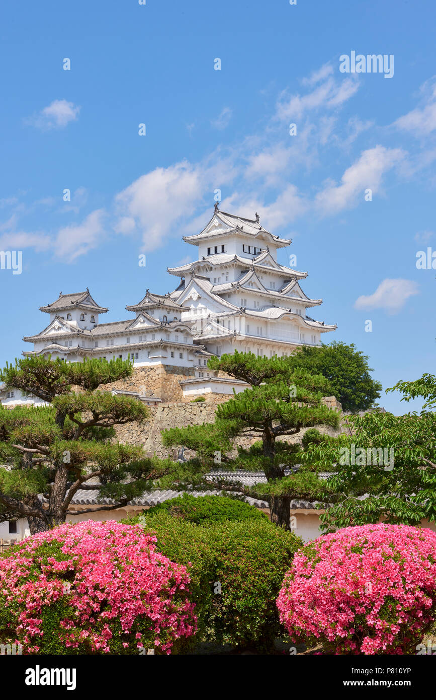 Beautiful shot of Hyogo Castle with azalea flowers in the foreground ...