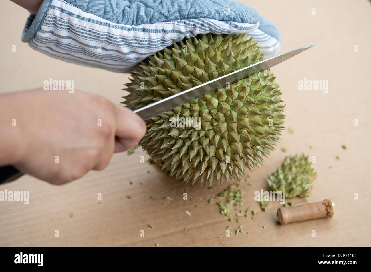 Hand using knife to peel durian shell which has a lot of thorns ...