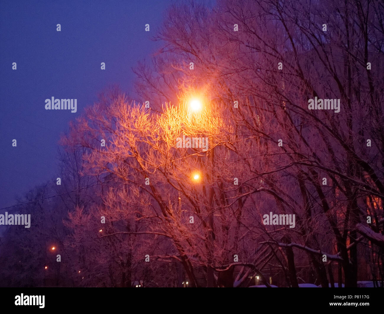 street light at night in winter, Moscow Stock Photo - Alamy