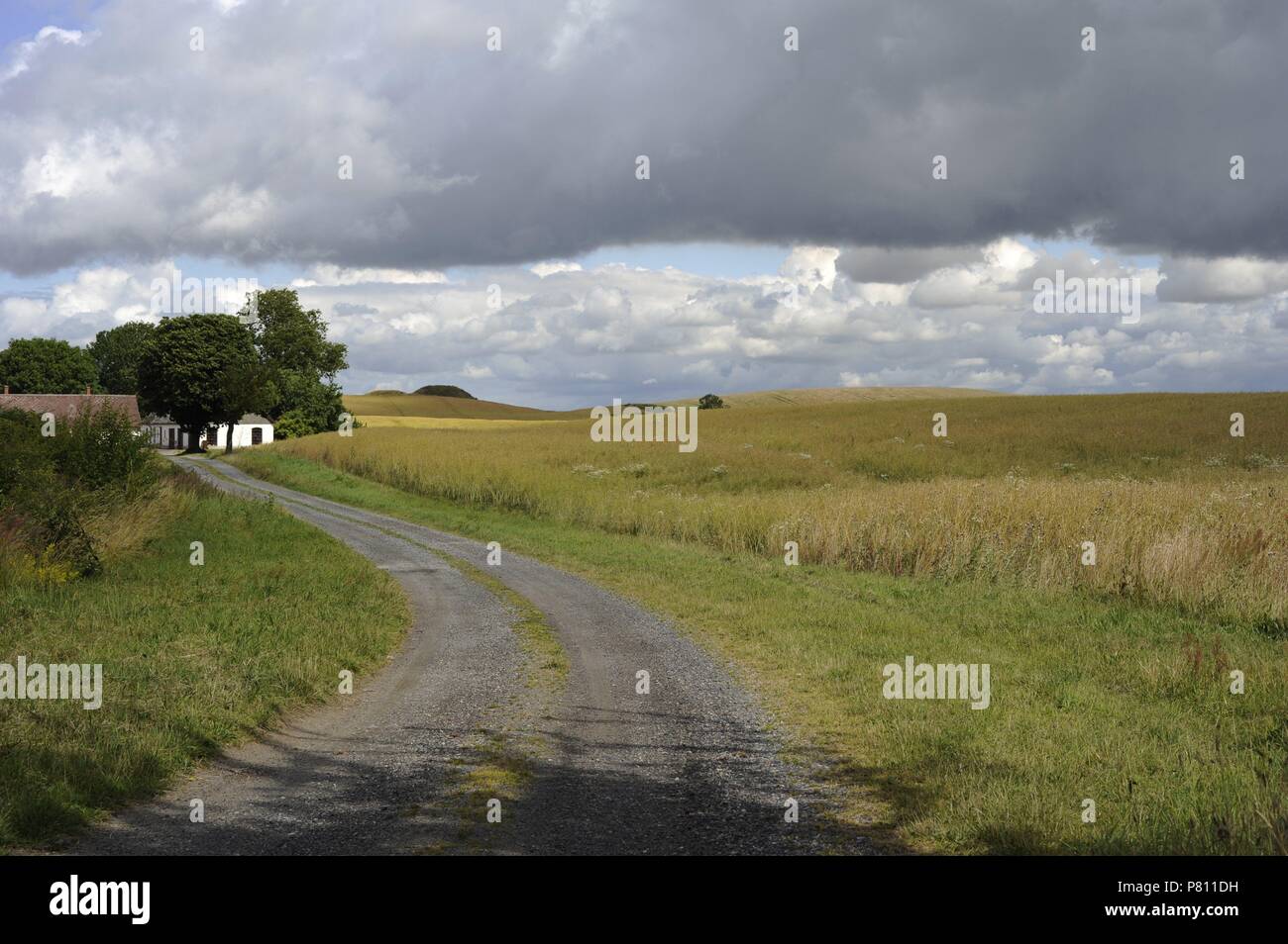 Oxie malmo hi-res stock photography and images - Alamy