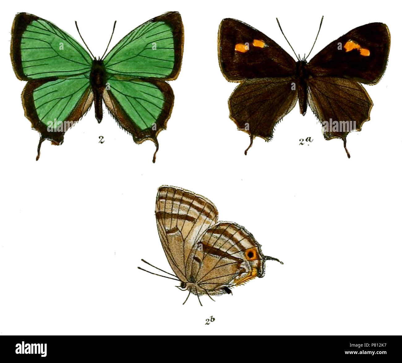 Rural fieldwork Cut Out Stock Images & Pictures - Alamy