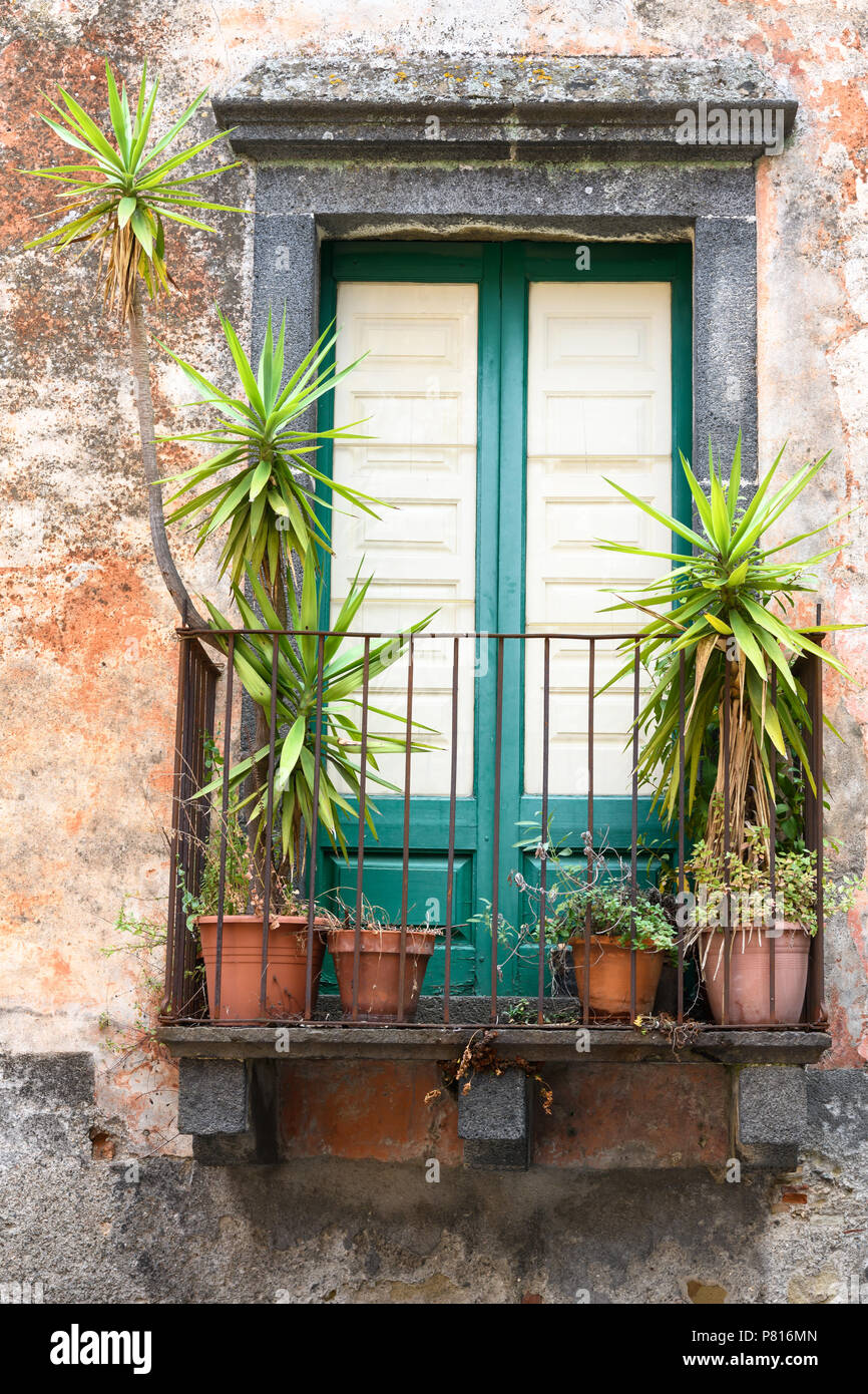 Rustic Window with plants Stock Photo - Alamy