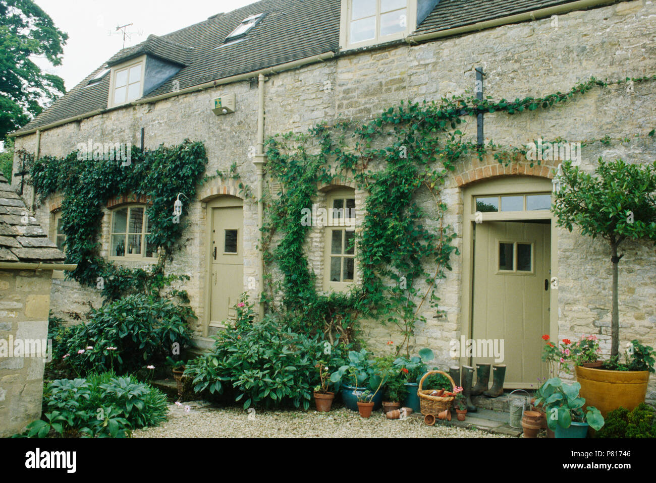 Converted stable block with painted beige doors and espailered fruit ...
