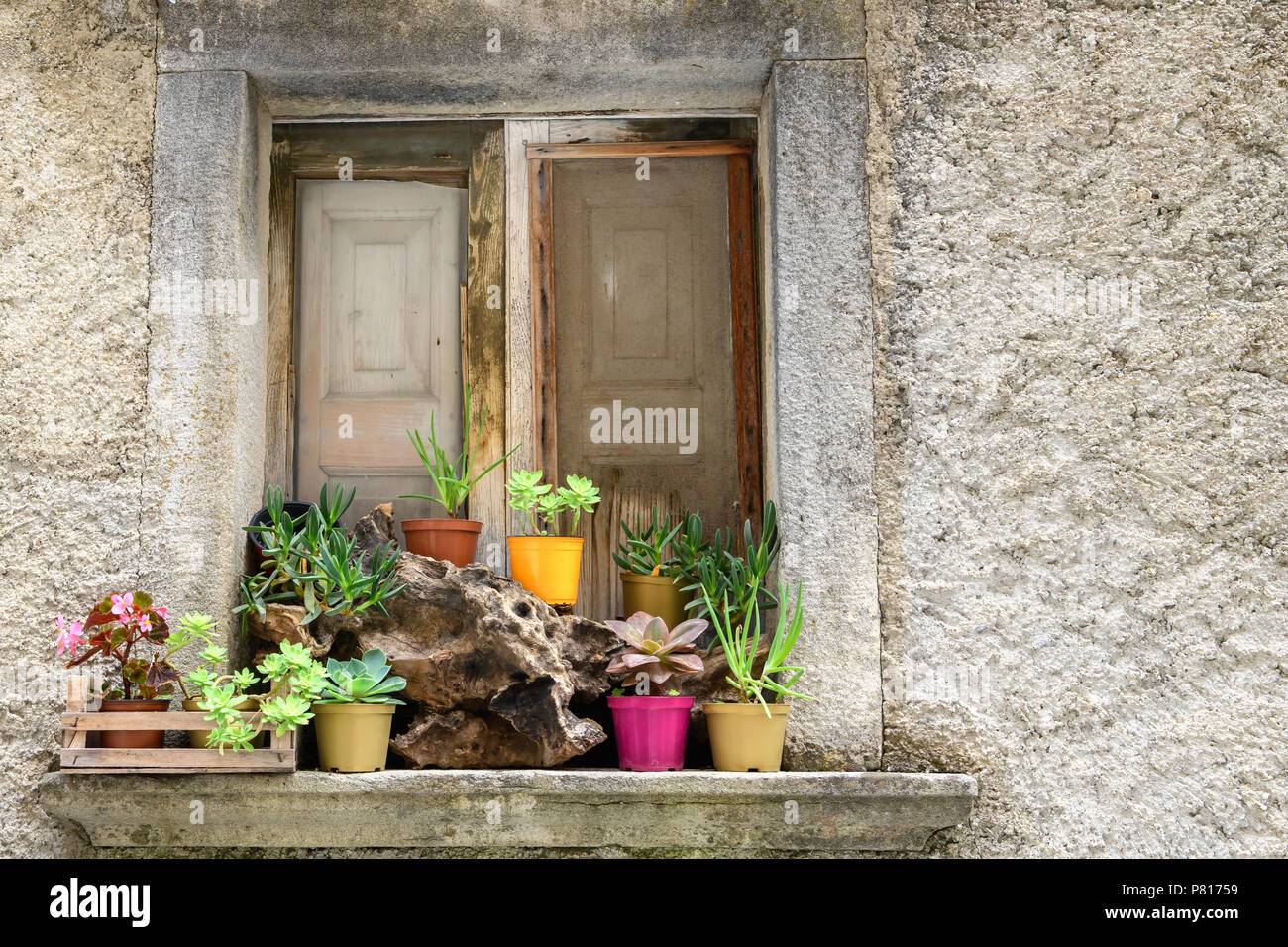 Rustic Window with plants Stock Photo - Alamy