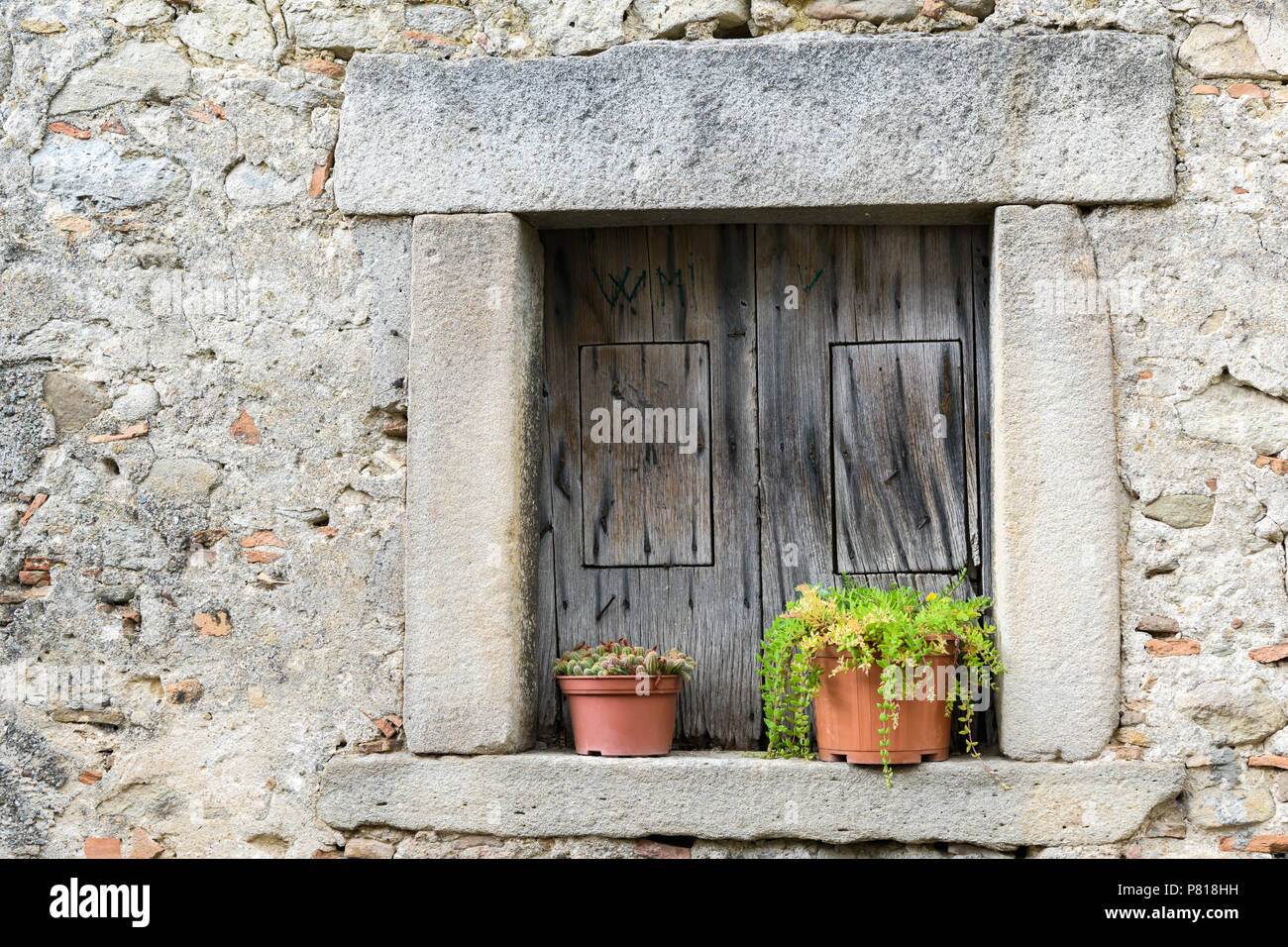 Rustic Window with plants Stock Photo - Alamy
