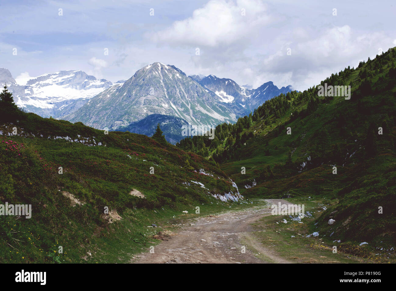 French Alps scenic Landscape. The Path leading between mountain meadows ...