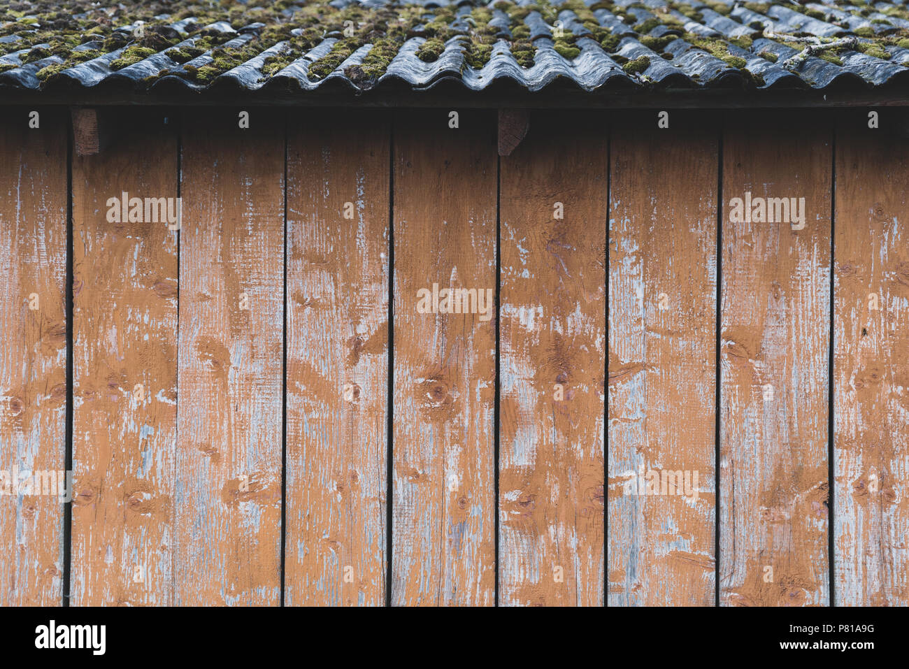 The rear wall of old barn with a slate roof, the roof is covered with ...