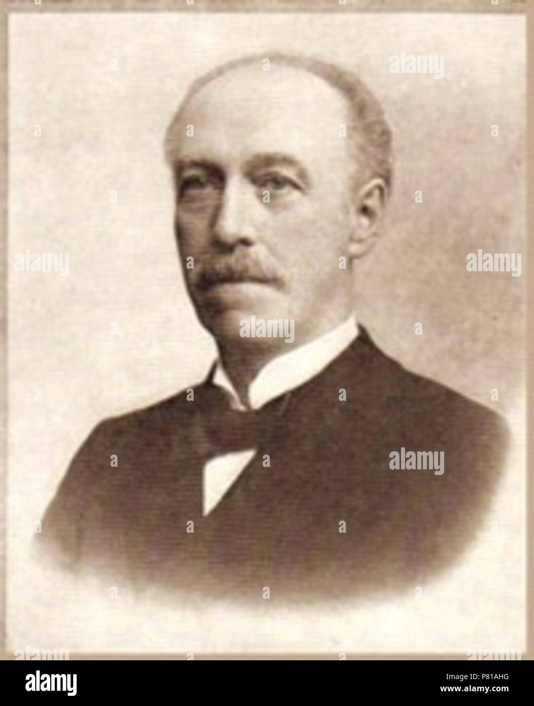 N/A. N/A 400 Willem Willemsz Ruijs Stock Photo - Alamy