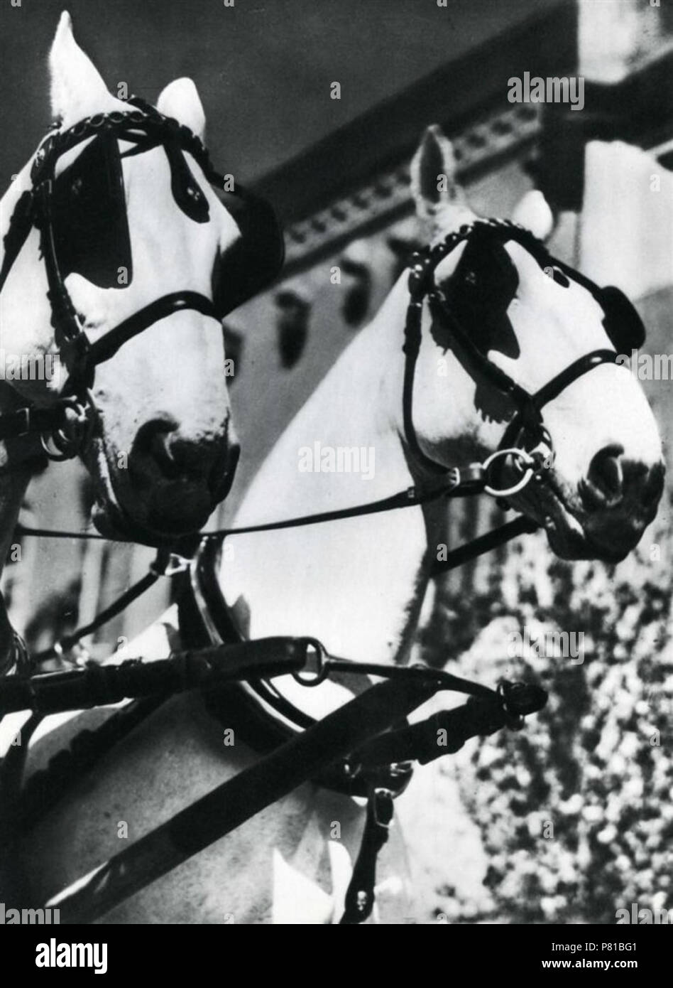 Yva High Resolution Stock Photography and Images - Alamy