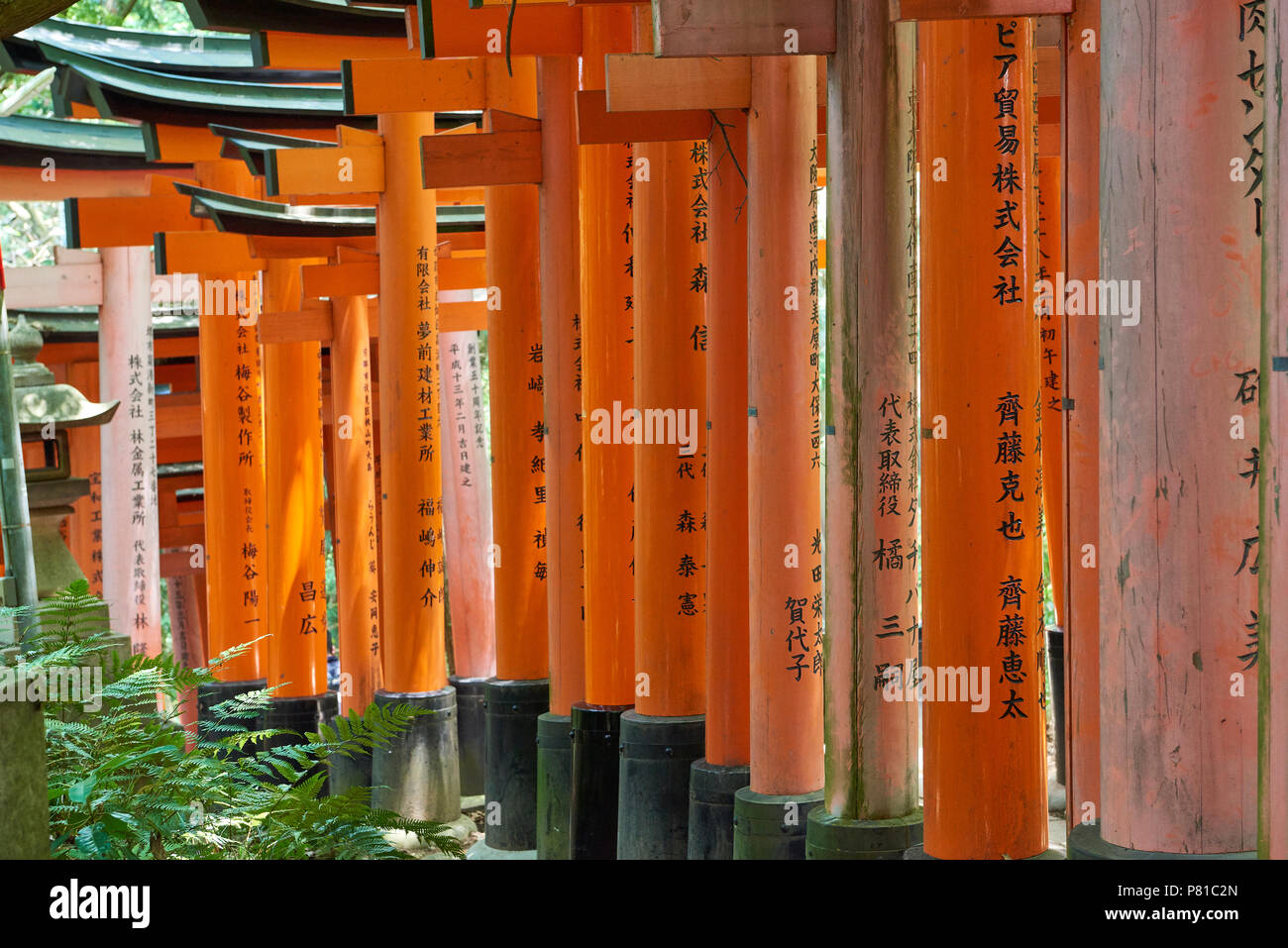 Detail of row of Senbon Torii gates in Fushimi Inari Shrine in Kyoto ...