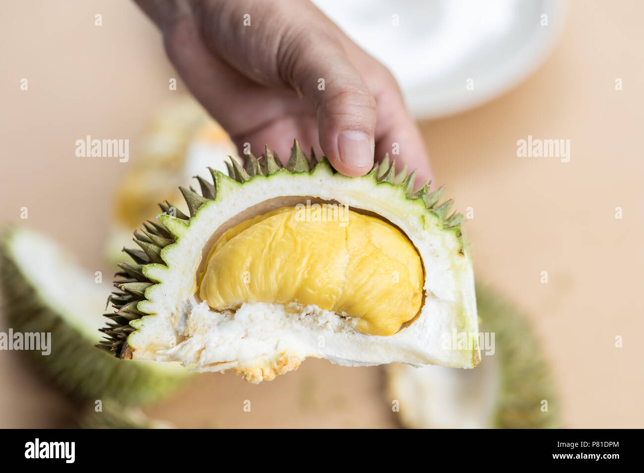 Handle durian show the yellow durian meat very fresh. Tropical seasonal ...