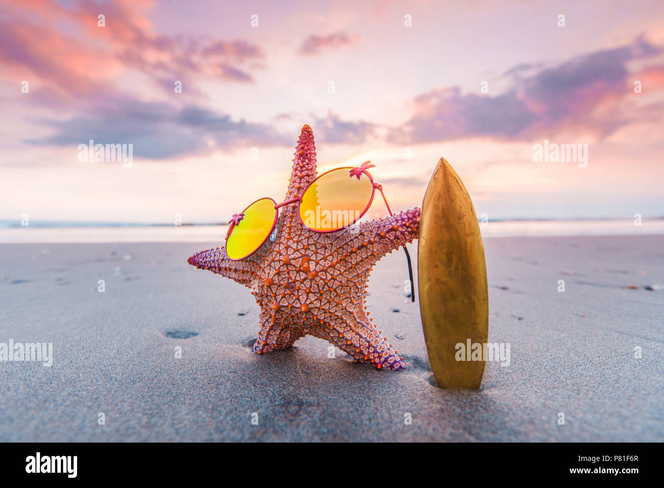 Starfish bali indonesia hi-res stock photography and images - Alamy