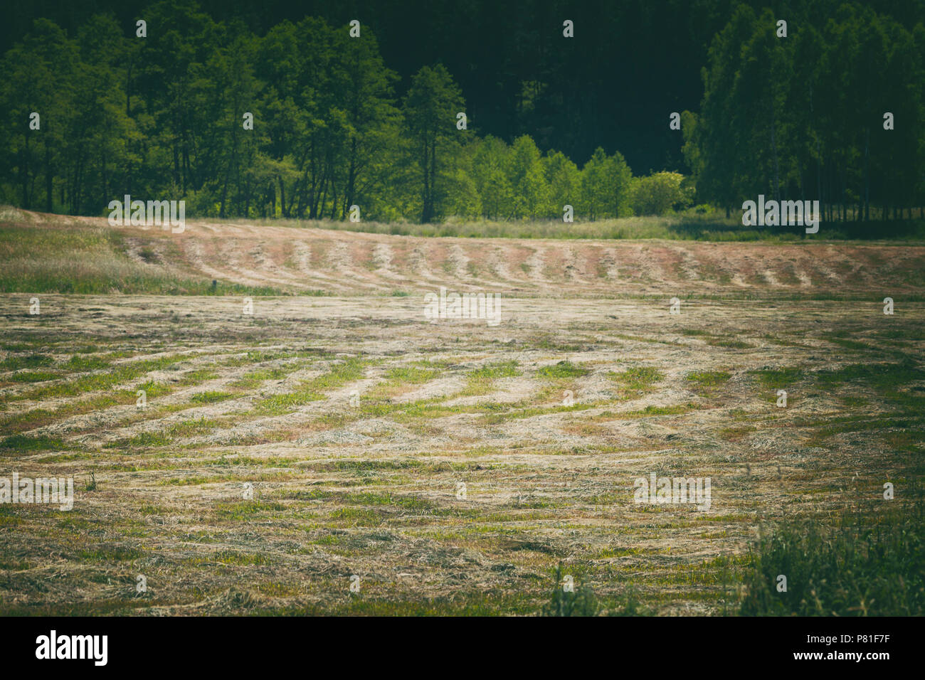 Patches plain hi-res stock photography and images - Alamy