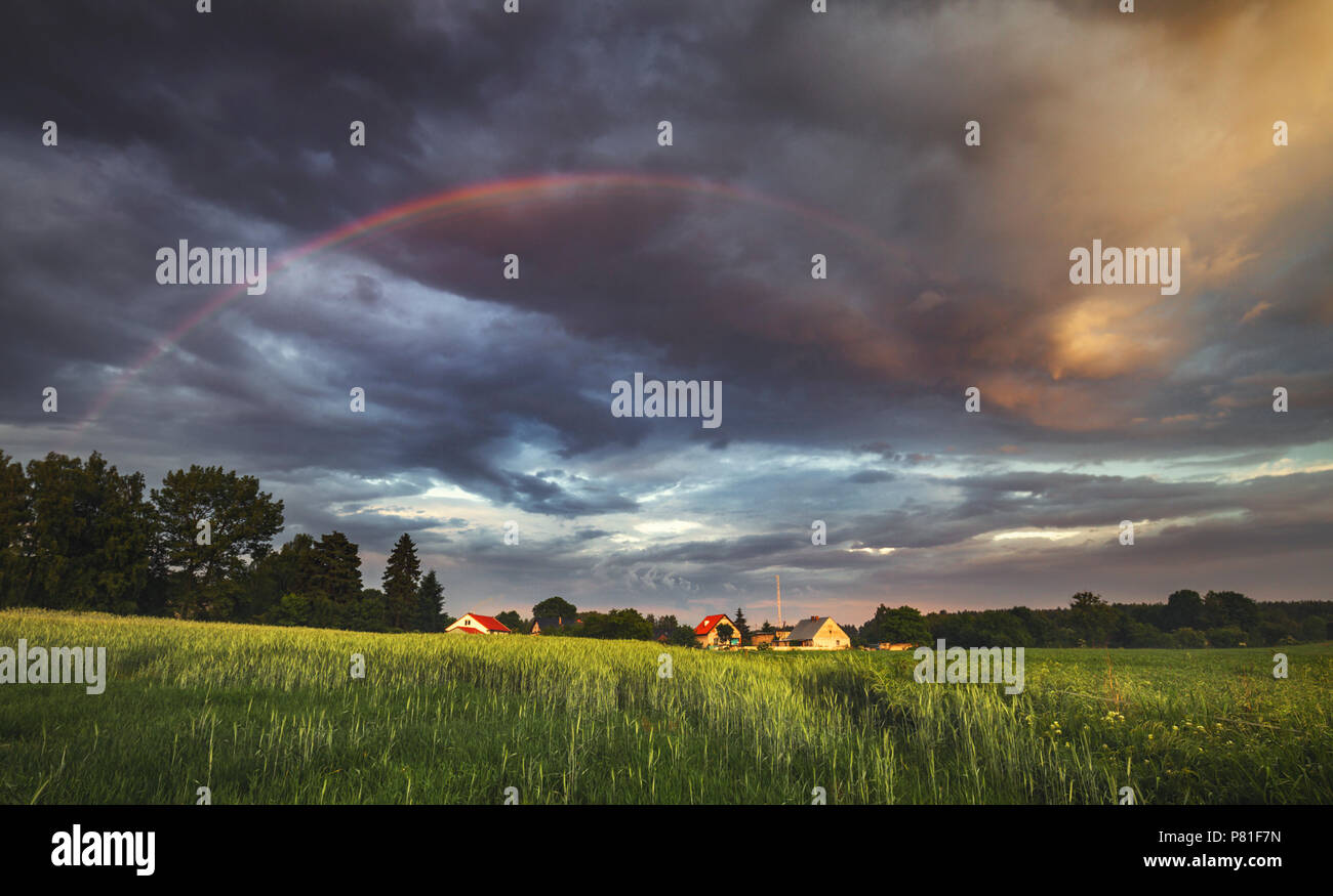 Spectrum fields hi-res stock photography and images - Alamy