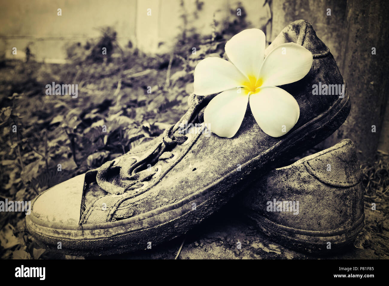 Pair of old sneakers hi-res stock photography and images - Alamy