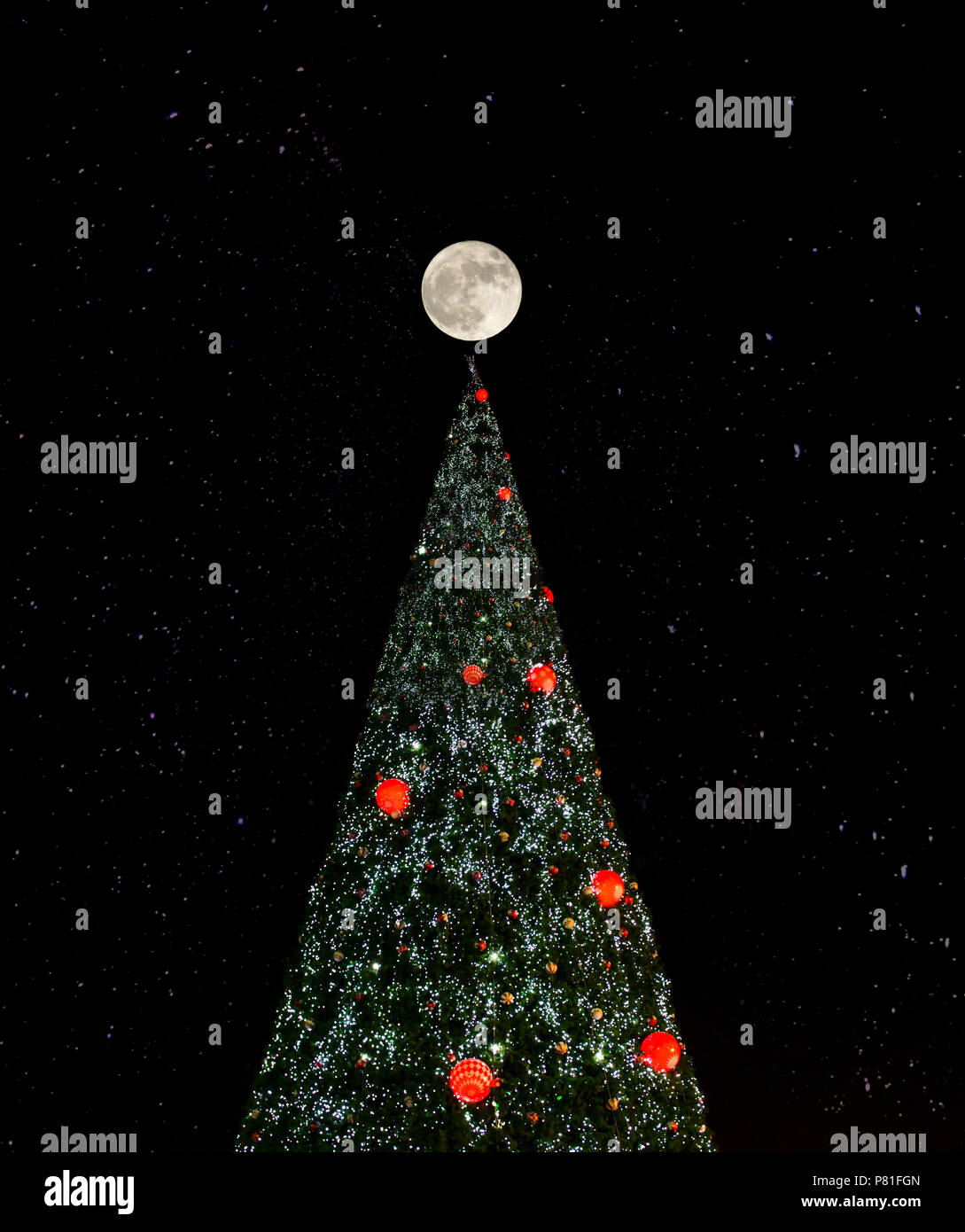 christmas tree in the night sky with full moon Stock Photo - Alamy