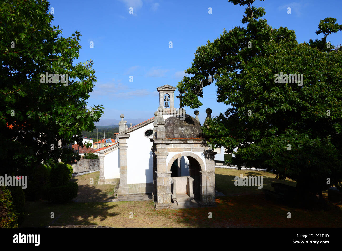 Church and sweet chestnut tree (Castanea sativa) in summer, Vila Praia ...