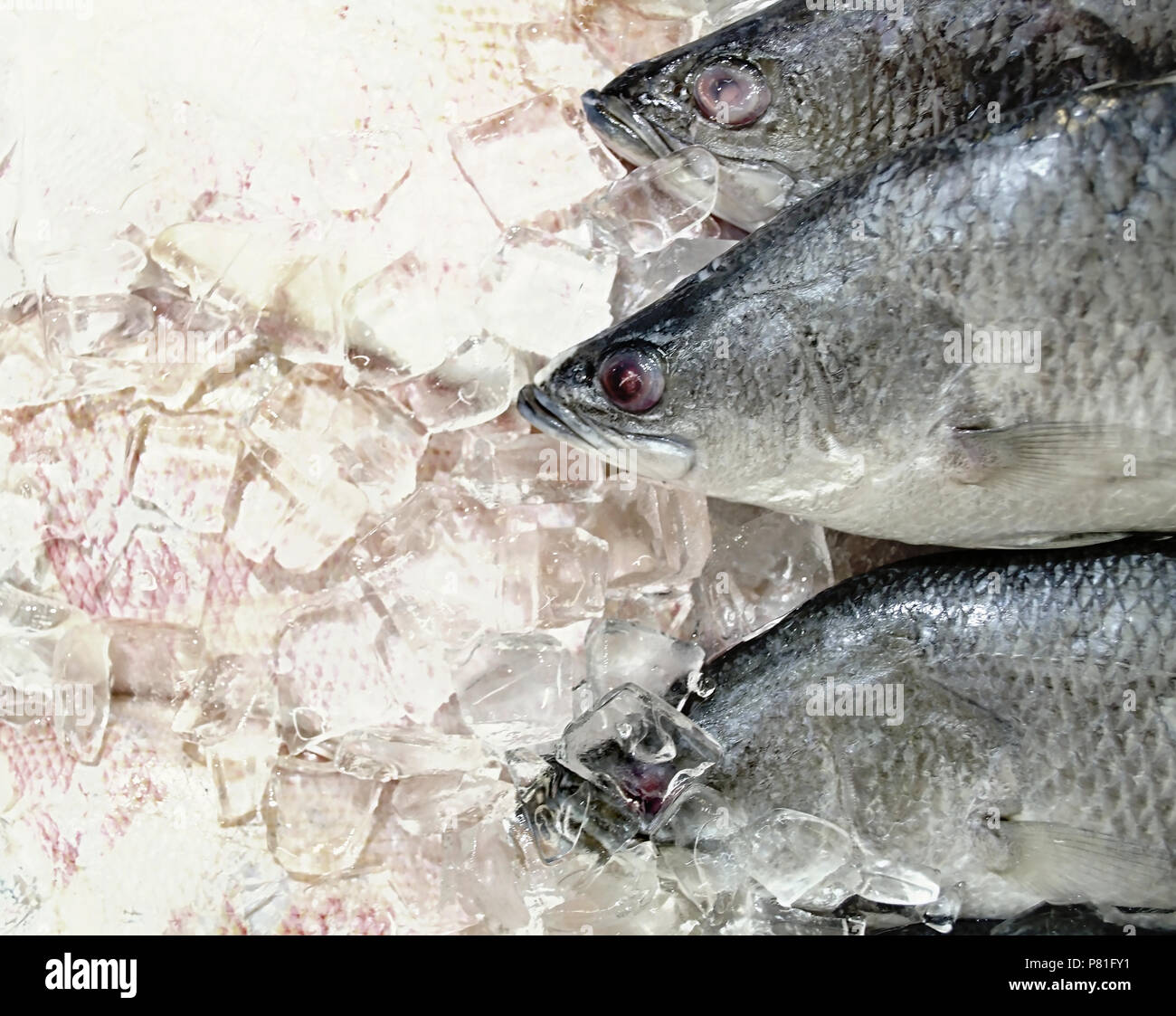 Frozen fish in the market Stock Photo - Alamy