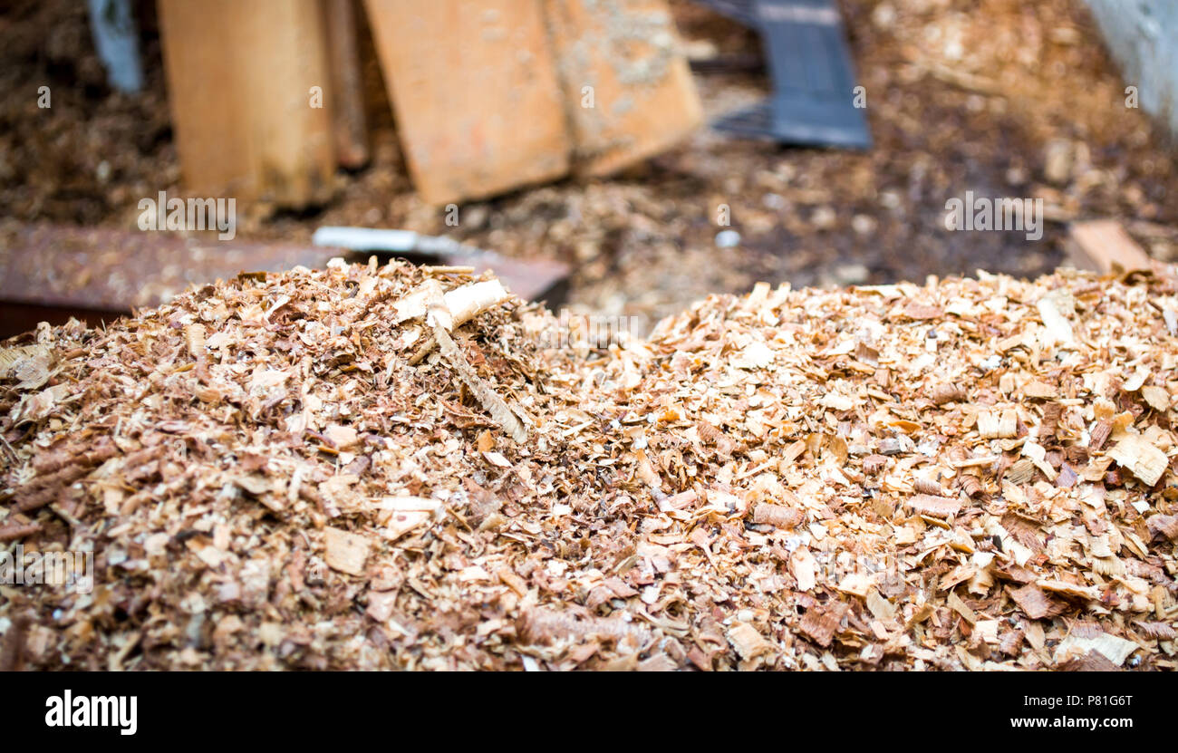 Pile of sawdust in wooden factory Stock Photo - Alamy