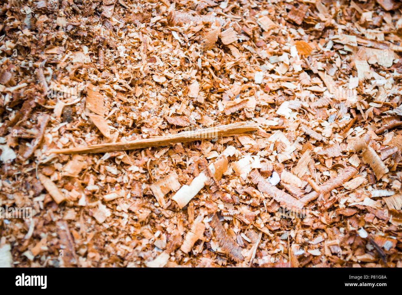 Pile of sawdust in wooden factory Stock Photo - Alamy