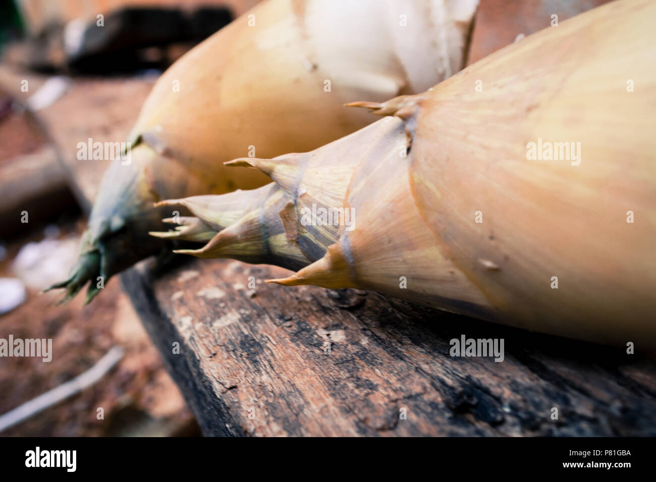 Bamboo shoots is vegetable for cooking Stock Photo - Alamy