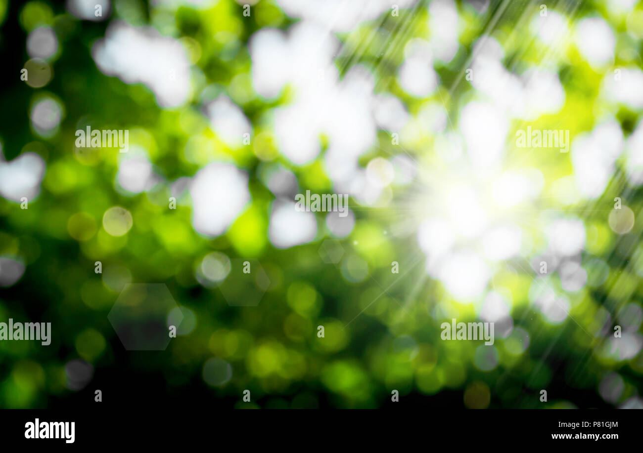 blur of nature with light for nature background Stock Photo - Alamy
